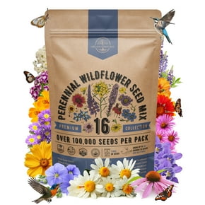 Wildflower Mix Flower Seeds in Seed Gardening - Walmart.com