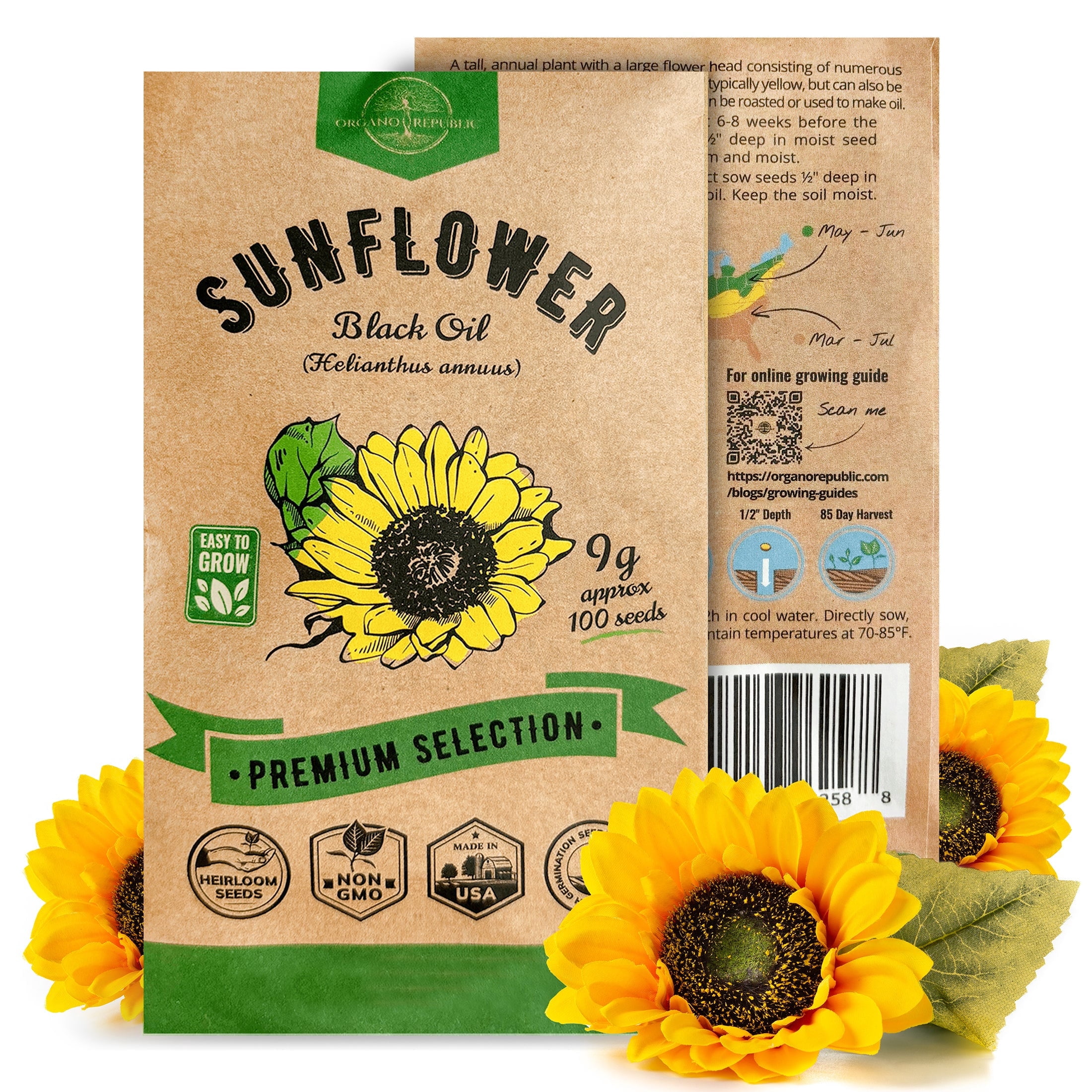Organo Republic Black Oil Sunflower Seeds, 100+ Non-GMO Heirloom Seeds ...