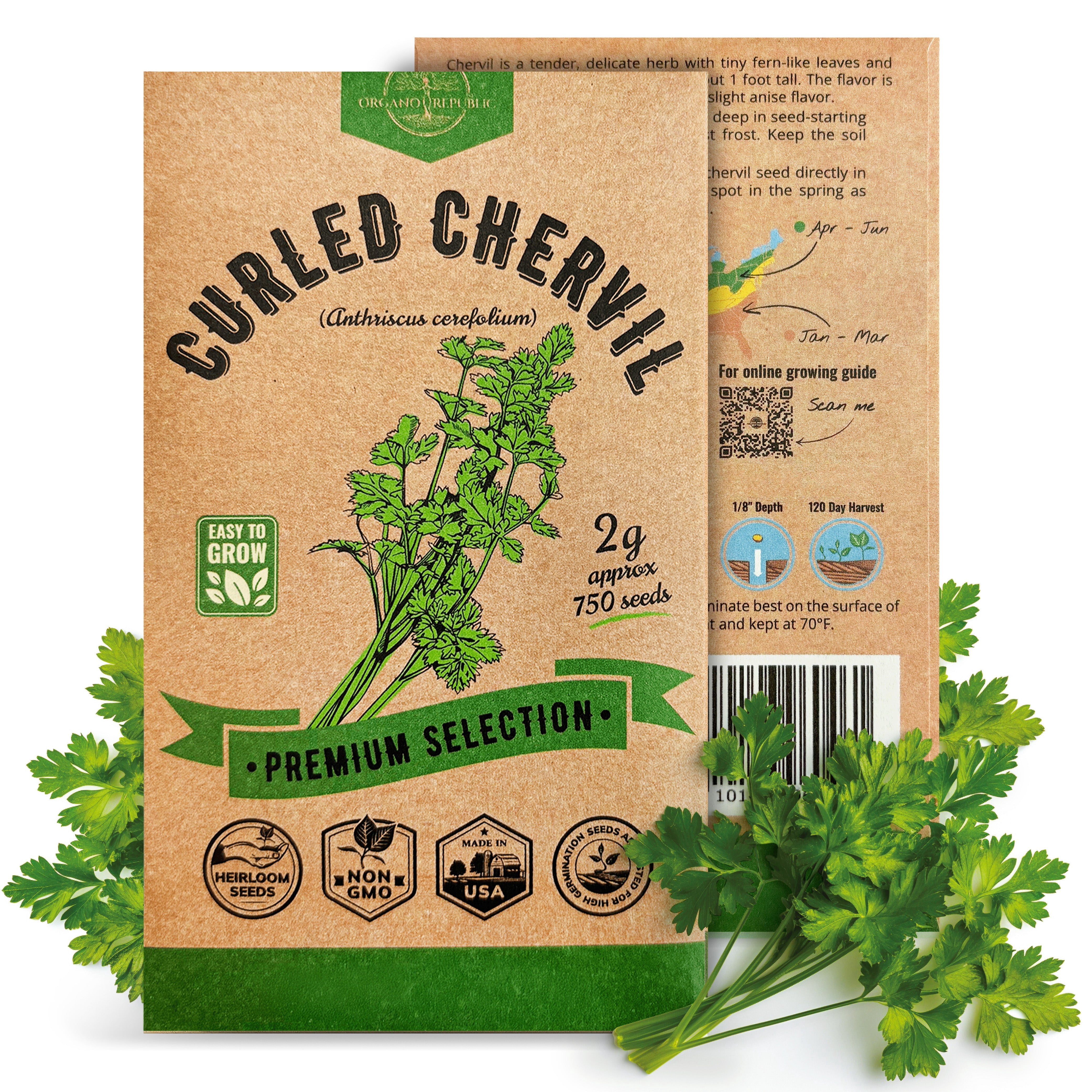 Organo Republic Curled Chervil Seeds 2 g – 750 Non‑GMO Heirloom Chervil ...