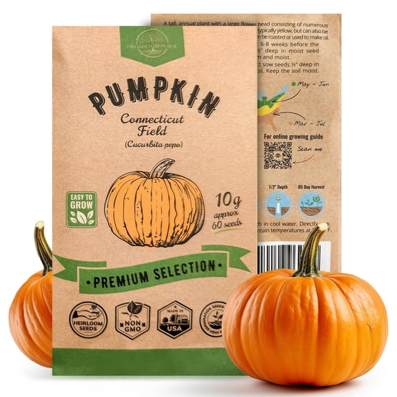Fall Vegetable Seeds