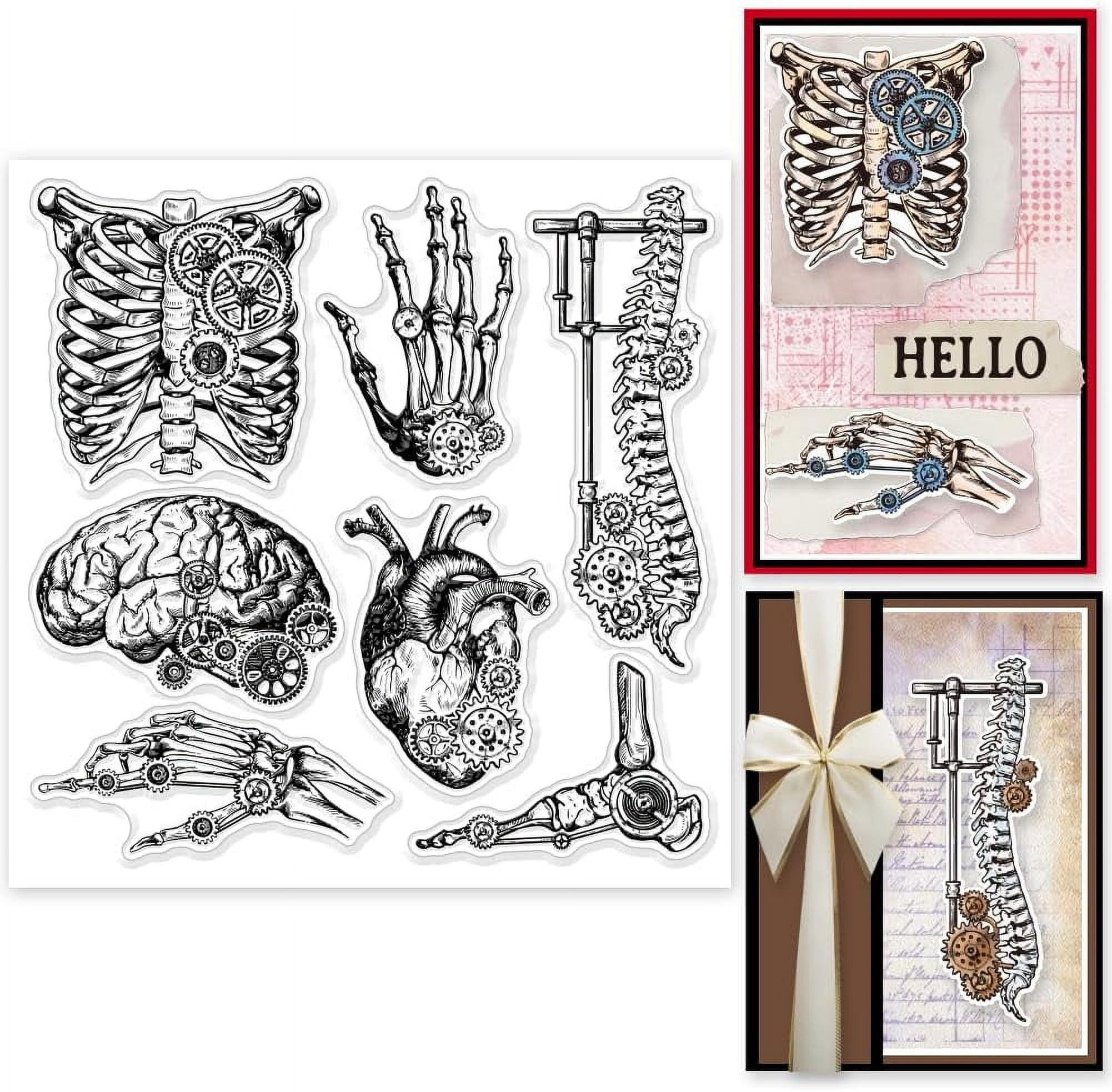 Organs Skeleton and Gear Clear Stamps for Cards Making Human Bones ...