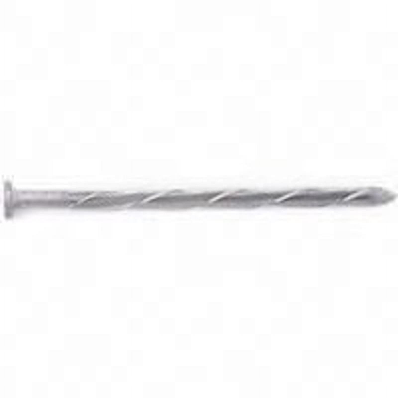Orgill Bulk Nails 00033262 Log Spike Nail, Steel, Galvanized, Flat Head ...