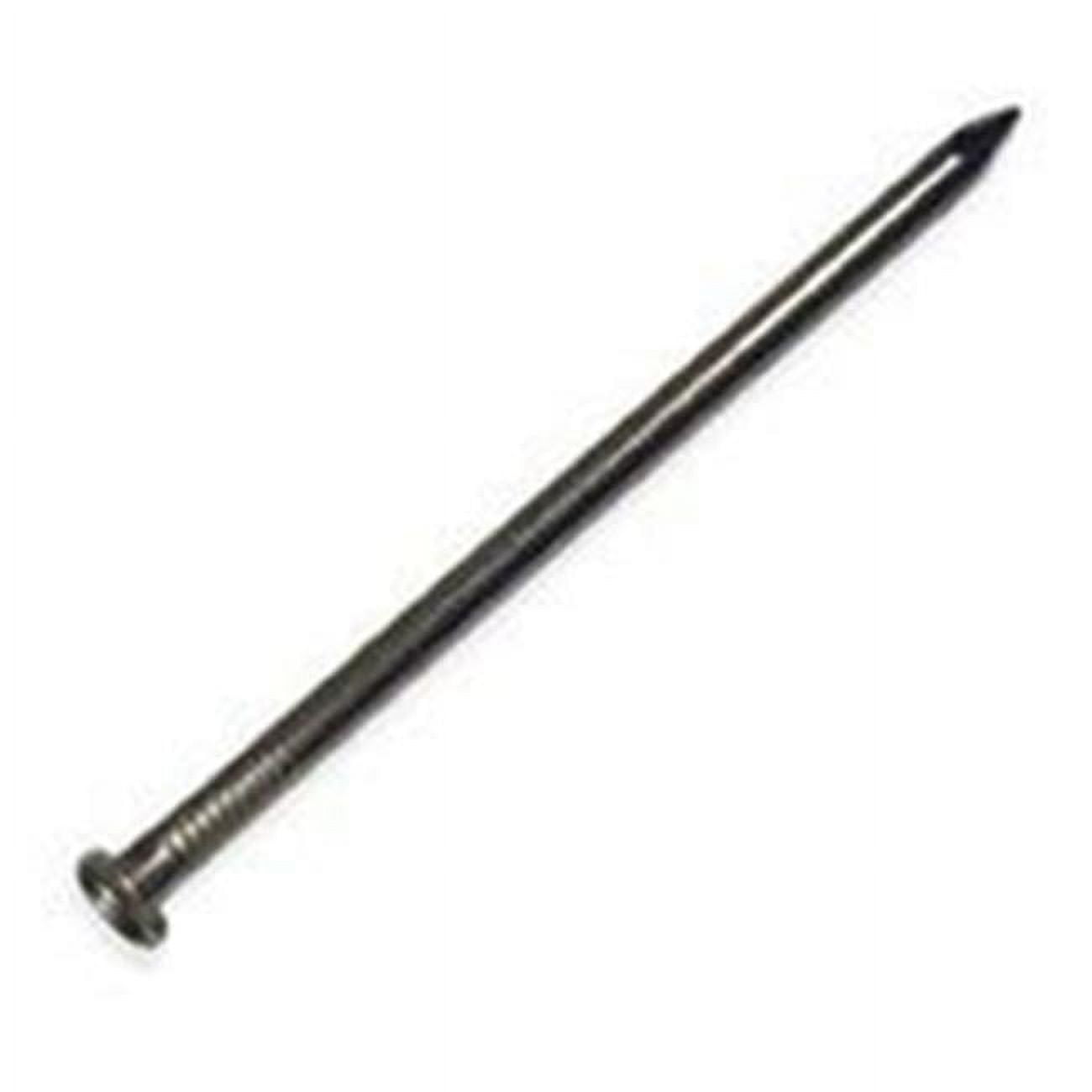 Pro Fit Flat 8 in. L Spike Nail Smooth Bright Steel 3/4 Ga. 50 lb ...