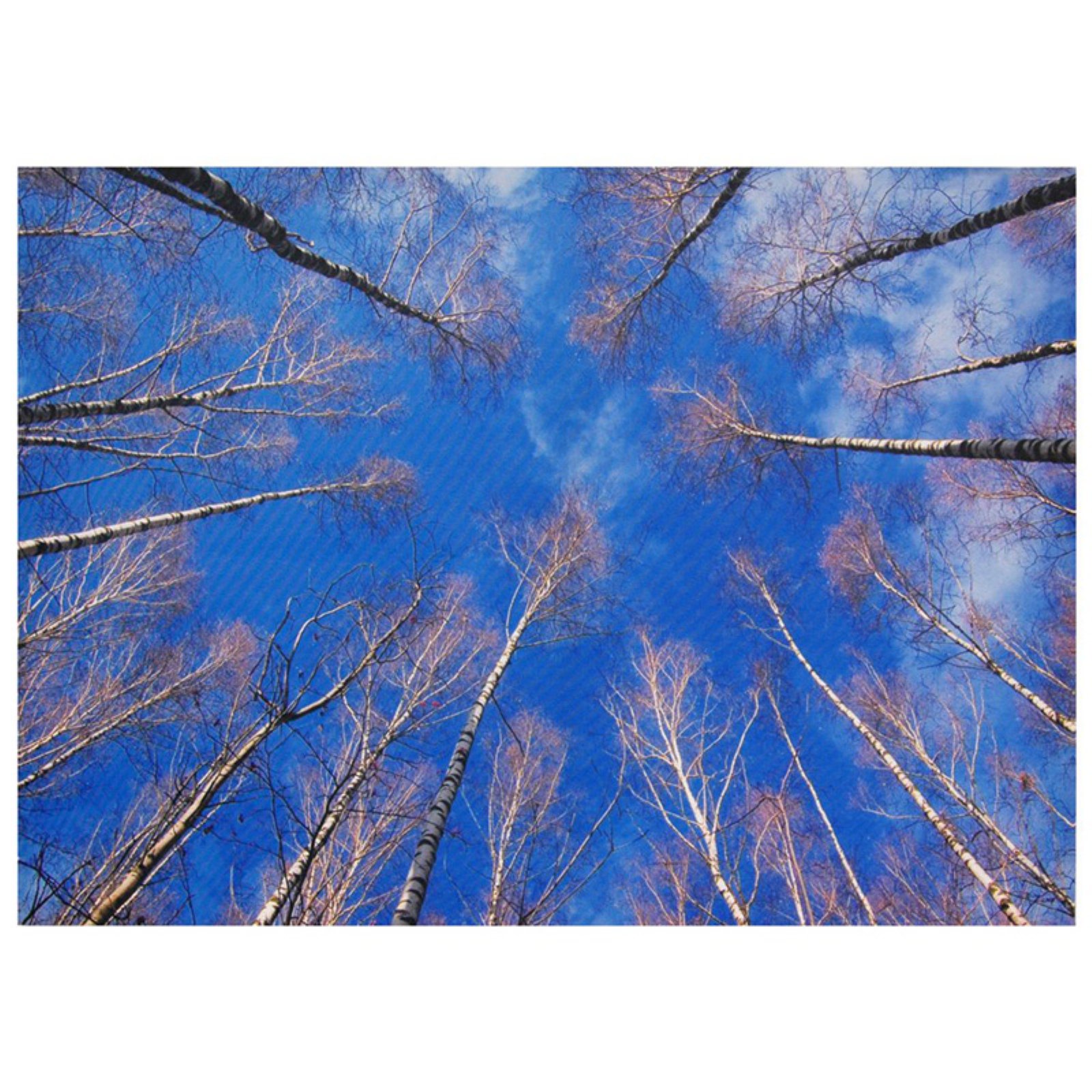 Oriental Furniture Treetops Canvas Wall Art, Treetop, printed on canvas ...