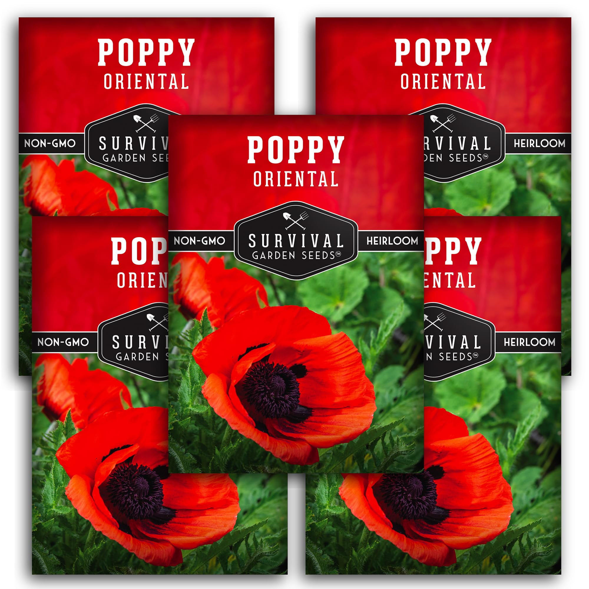 Oriental Poppy for Planting - 5 Packs - Non-GMO Heirloom | Survival ...