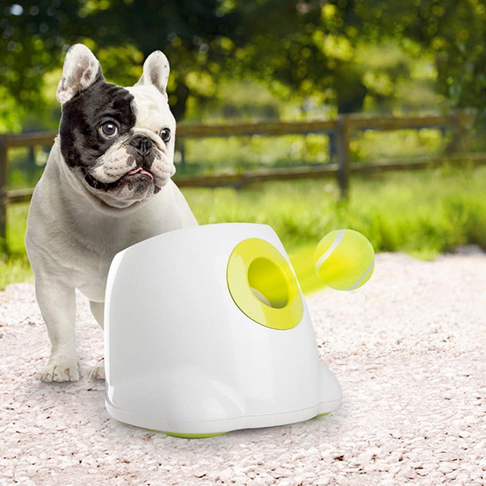 Original Dog Automatic Ball Launcher For Small And Medium Dogs, Dog ...