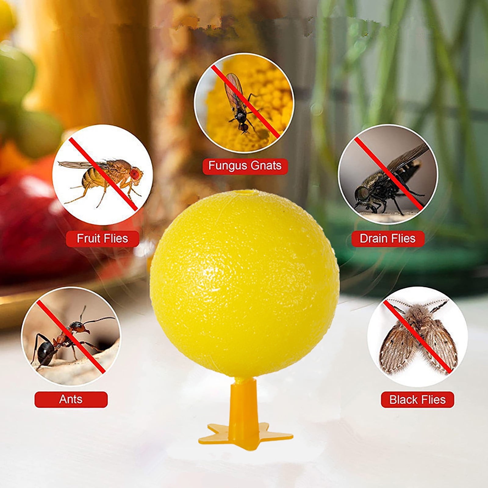 Original Fruit Fly Trap Ball with Light, Fly Lure Ball, Sticky Insect ...