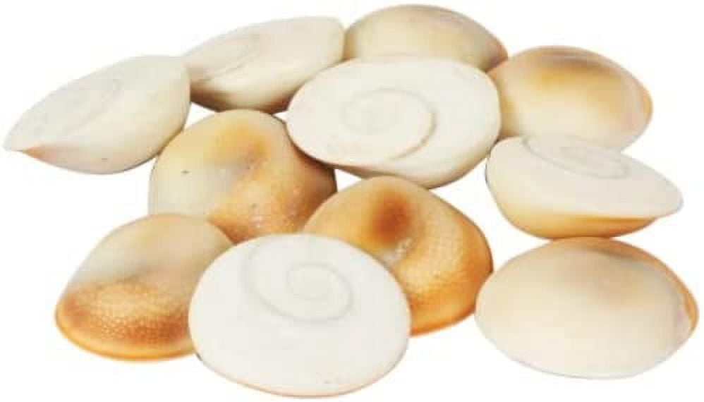 Original Gomati/Gomti Chakra Stone For Puja (White) 21 Piece for Peace ...