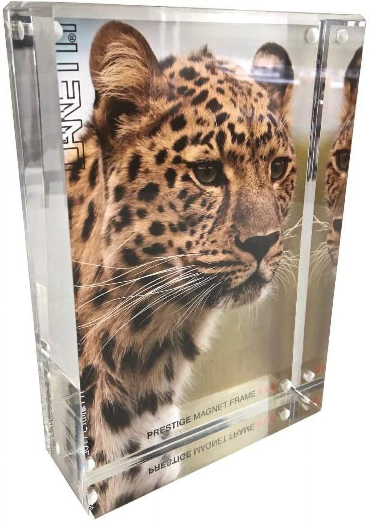 Original Magnet Frame 5x7 Prestige Magnetic Picture Frame, Floating ...