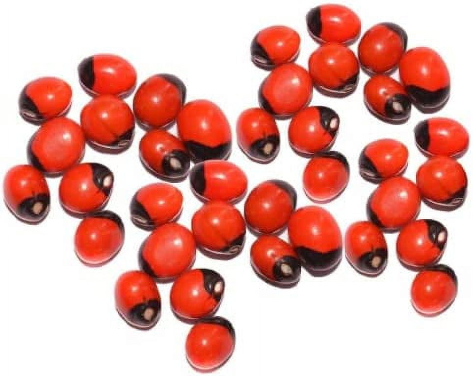 Original Red Chirmi | Gurivinta Beads | Rakt Lal Gunja Beads For Puja ...