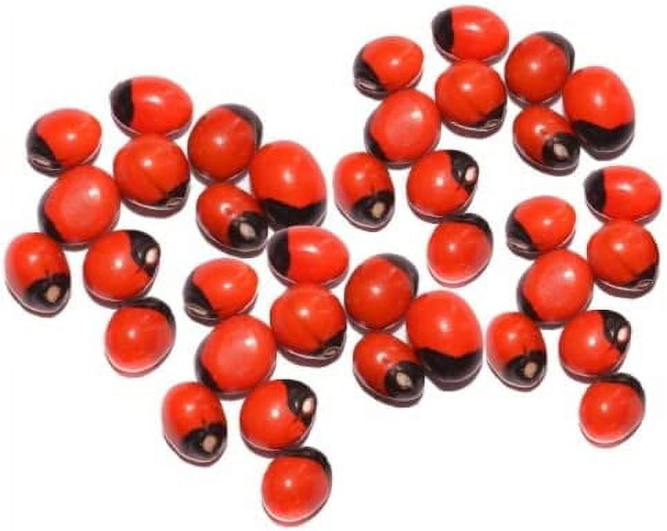 Original Red Chirmi | Gurivinta Beads | Rakt Lal Gunja Beads For Puja ...
