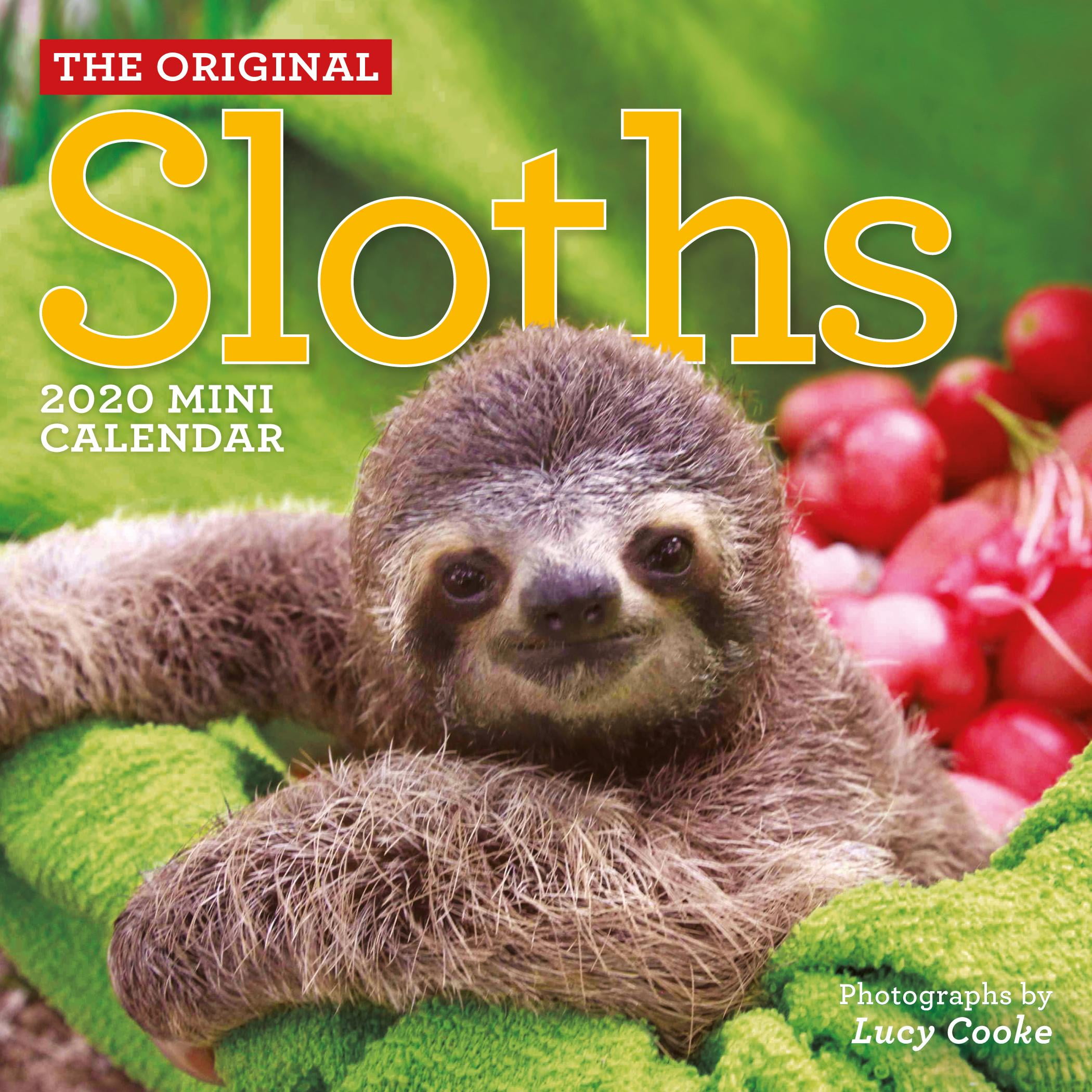 Original Sloths Mini Wall Calendar 2020 (Other) - Walmart.com