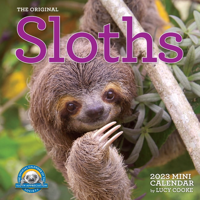Original Sloths Mini Wall Calendar 2023 : Celebrate Life in the Slow ...