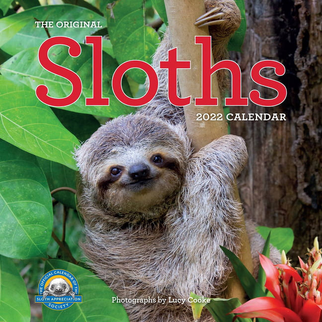 Original Sloths Wall Calendar 2022 : 12 months of irresitable cuteness ...