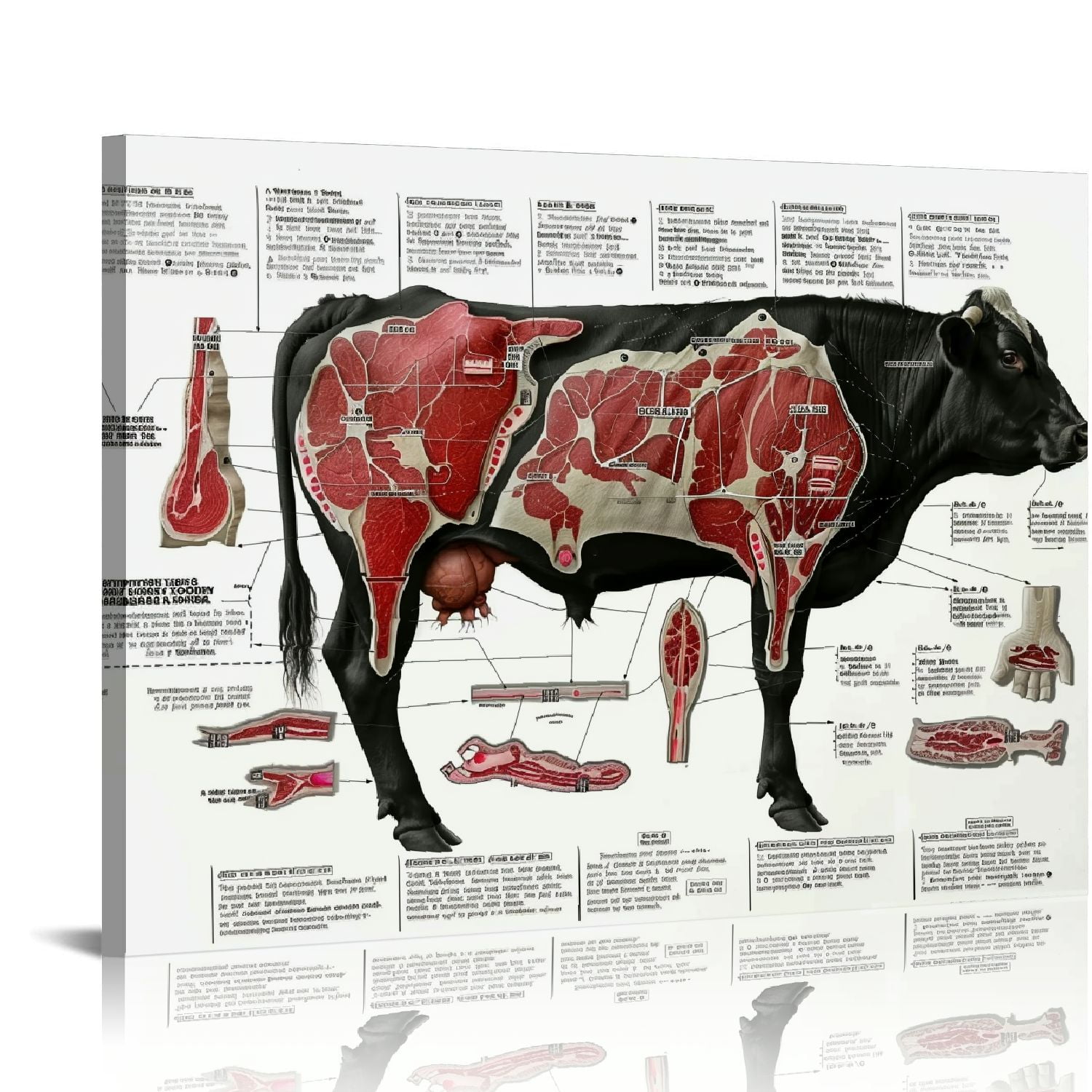 Orinice Angus Beef Chart Meat Cuts Diagram Canvas Art Poster and Wall ...