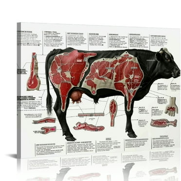 Angus Beef Chart Meat Cuts Diagram Poster 11in x 17in Mini Poster 11 x ...