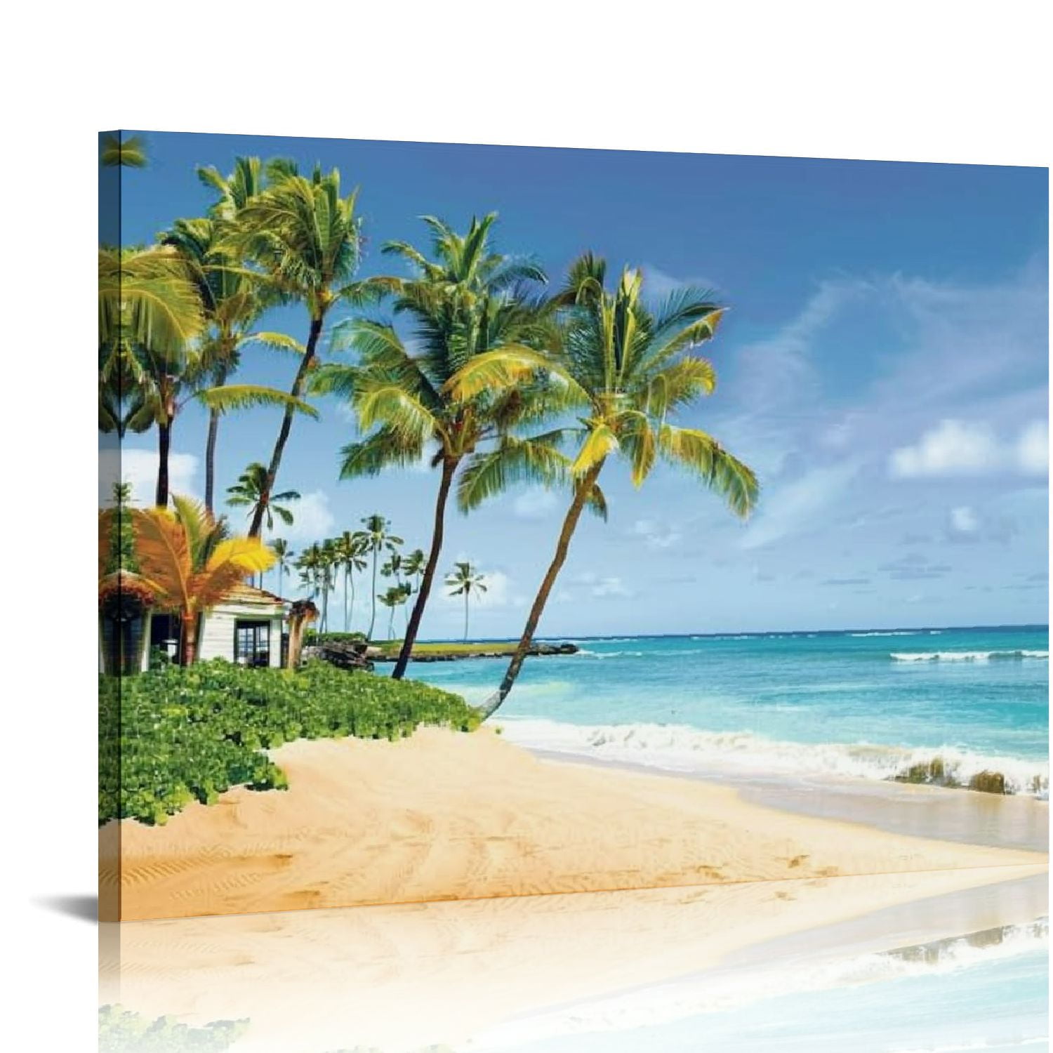 Orinice Backdrop for Photography Sandy Beach Palm Trees Background ...