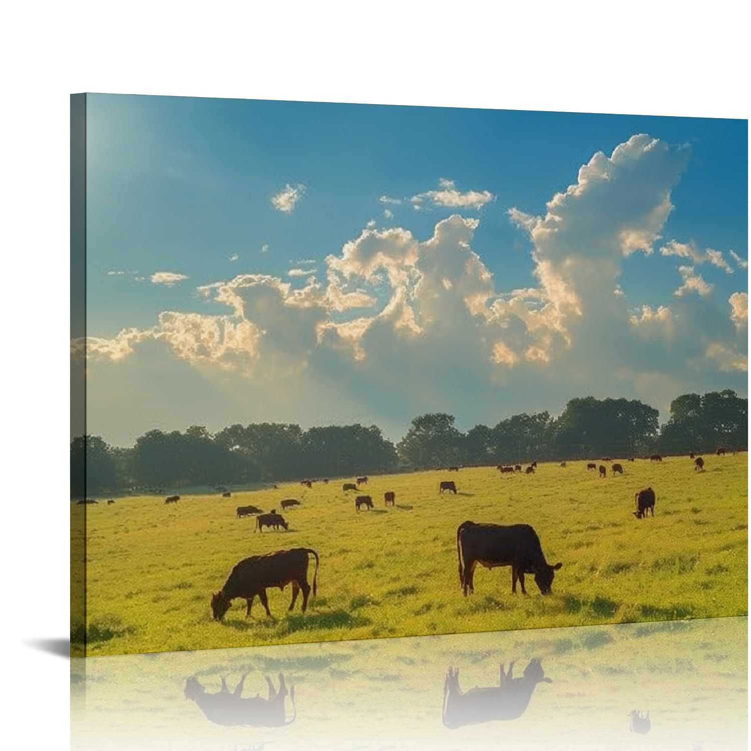 Orinice Beautiful Scenery Grazing Cows Poster 20x16in - Walmart.com