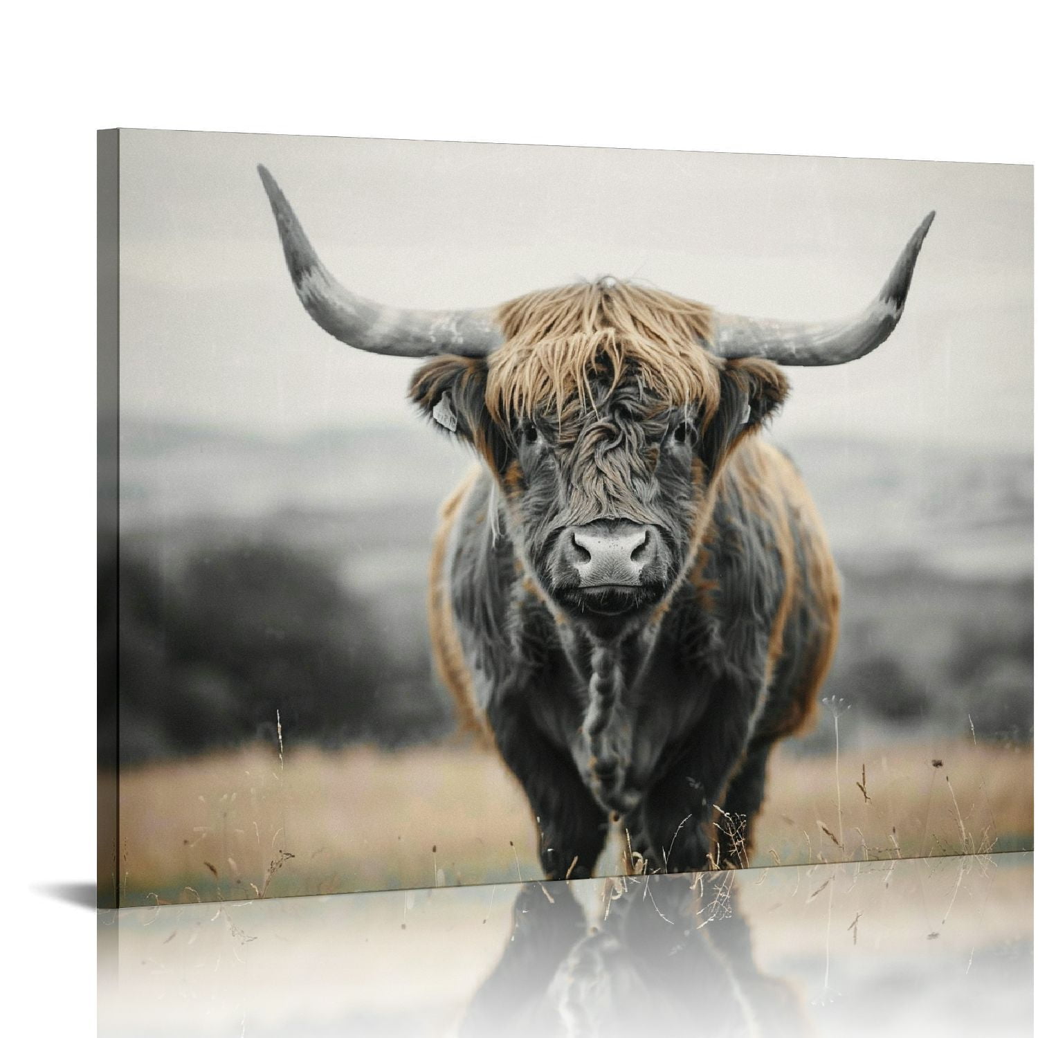 Orinice Black White Highland Cow Pictures Wall Art - arm House Animal ...