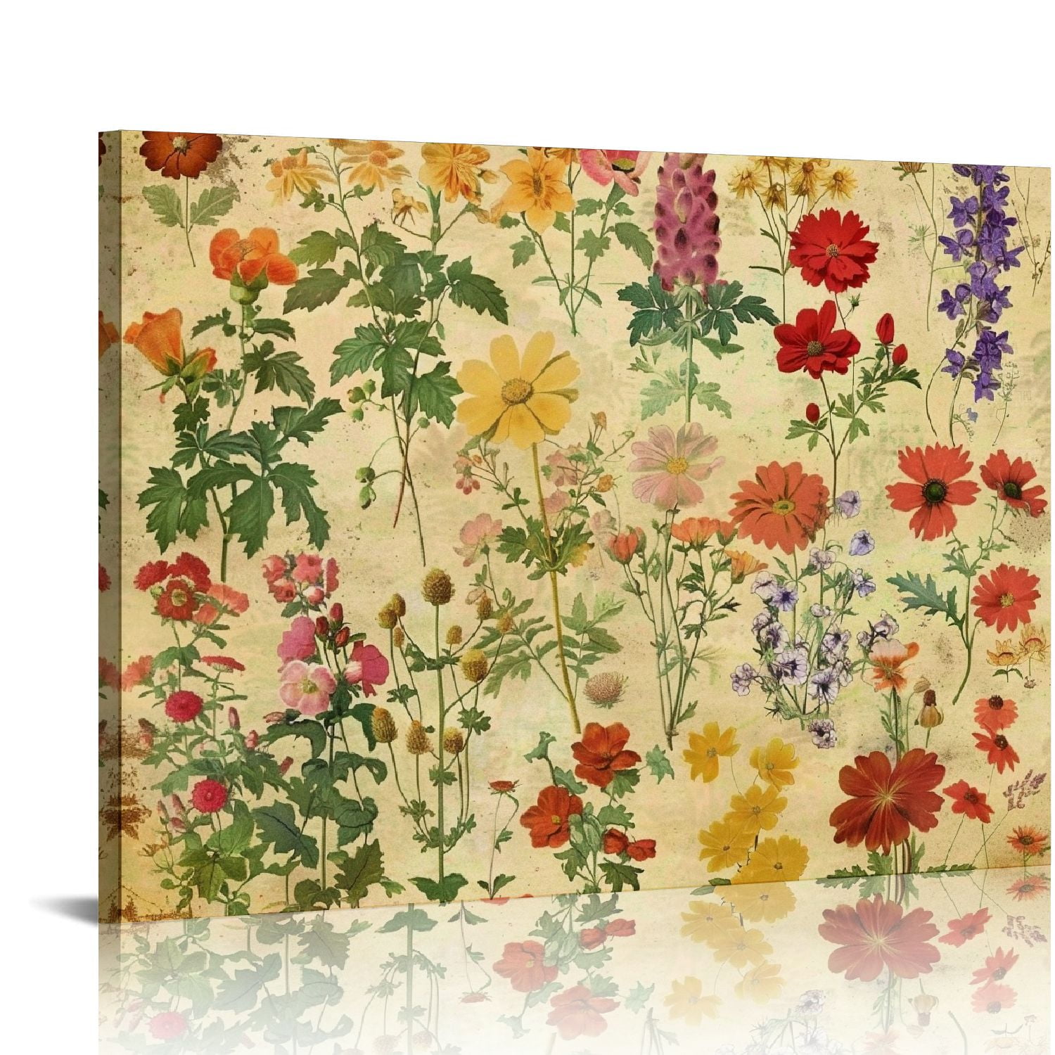 Orinice Botanical Prints, Plant Pictures Wall Art, Vintage Botanical ...