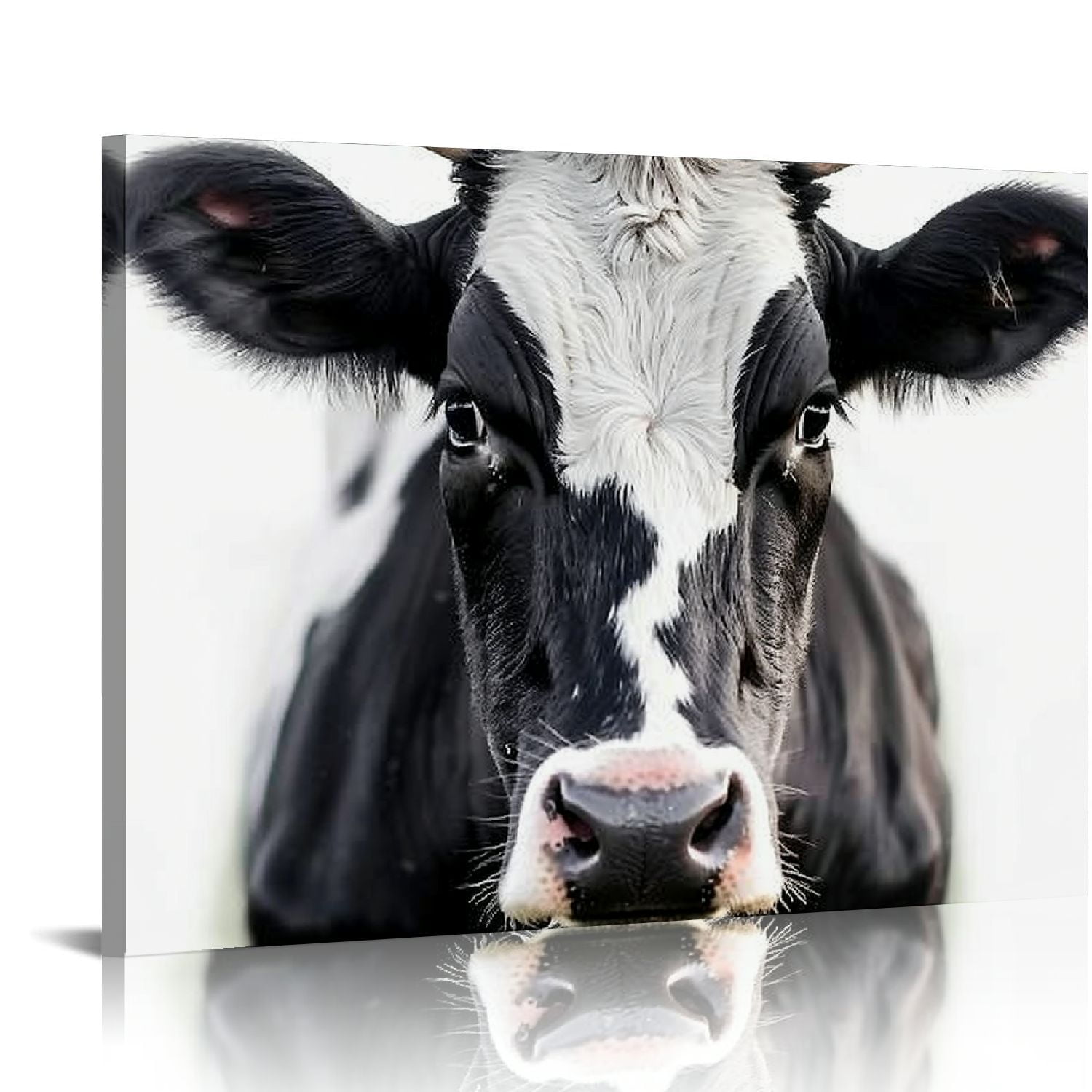 Orinice Calf Cow Face Portrait Farm Animal Closeup Photo Cool Wall ...