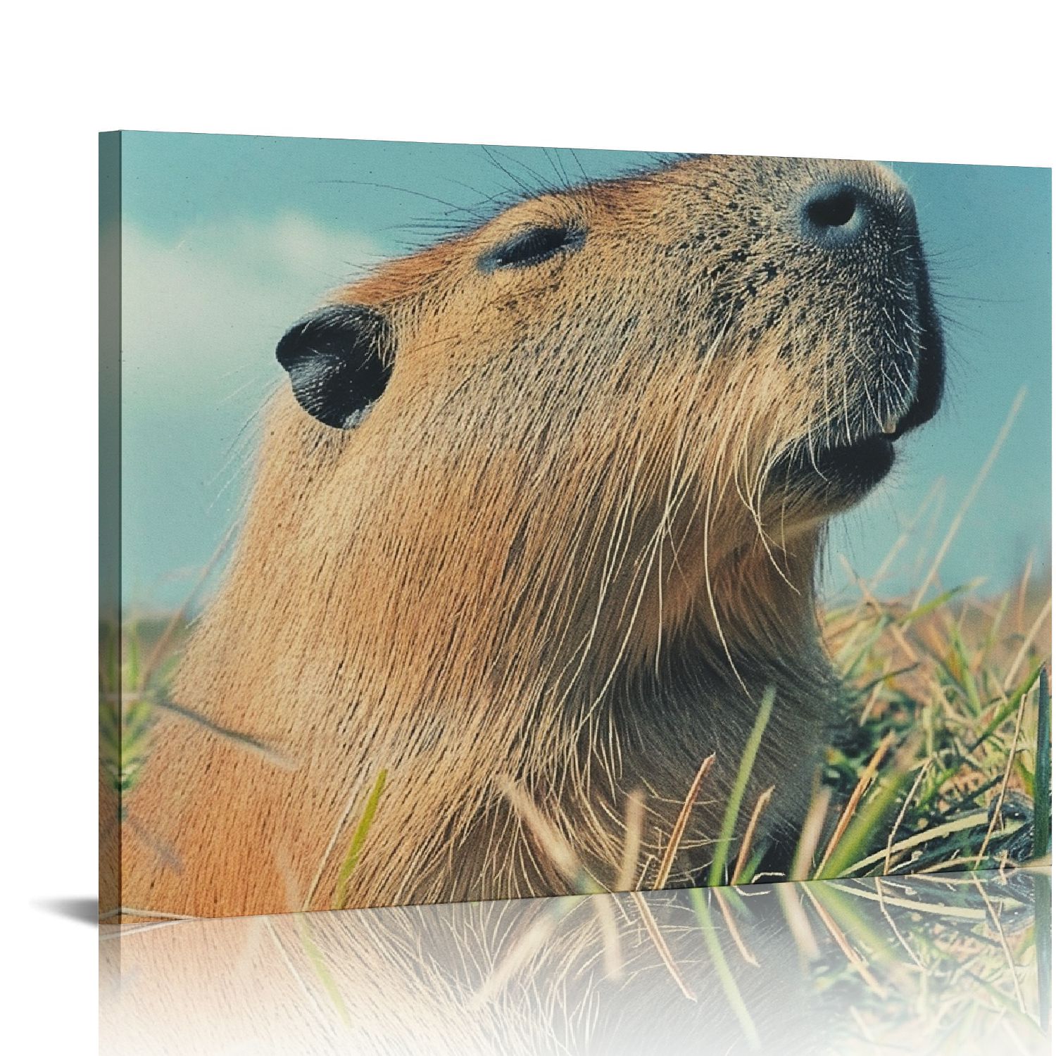 Orinice Capybara Grass Blue Sky Fine Art Aesthetic Poster Print Wall ...