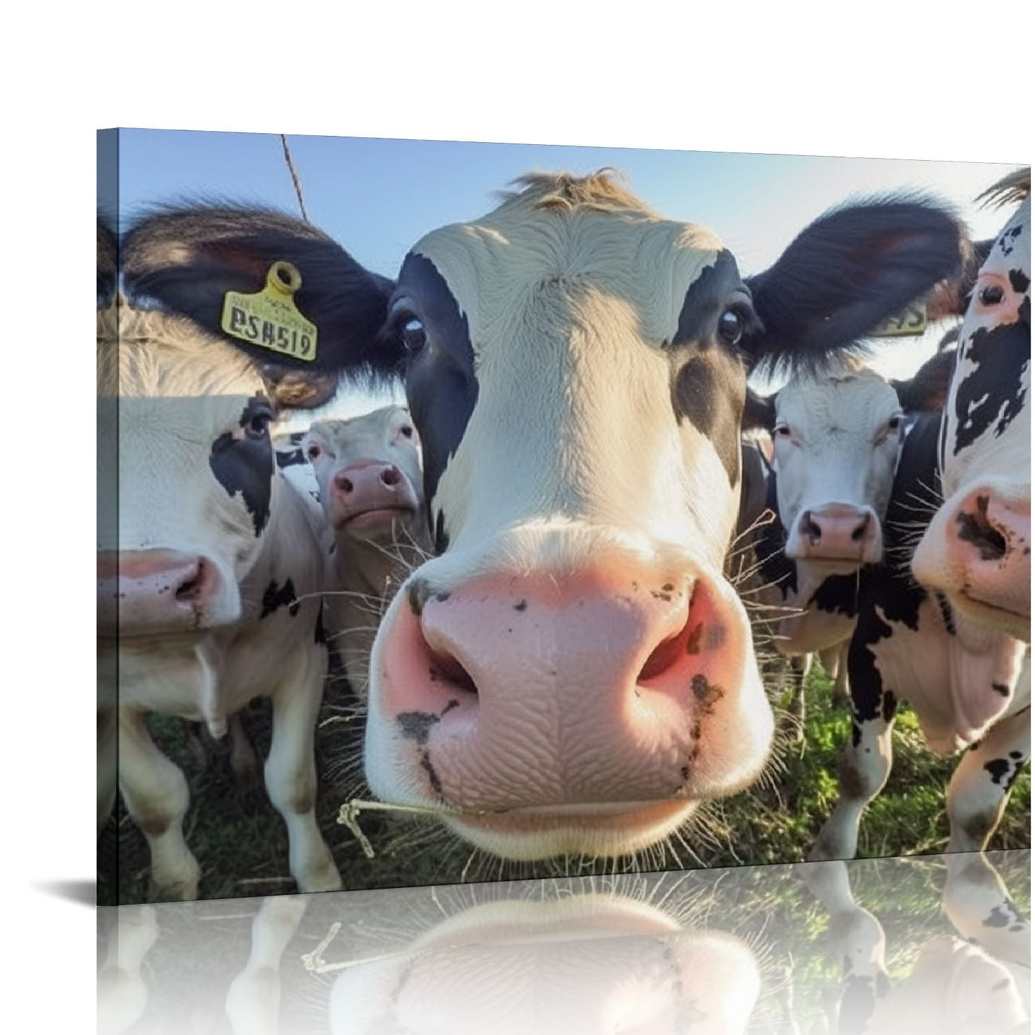 Orinice Cute Cow Close Up Poster 16x12in - Walmart.com