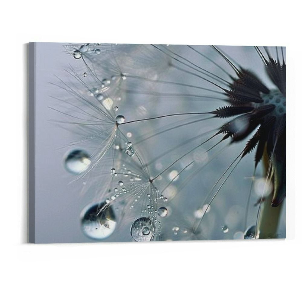 Orinice Dandelion Art Print, Rain Drops Fine Art Macro Photography ...