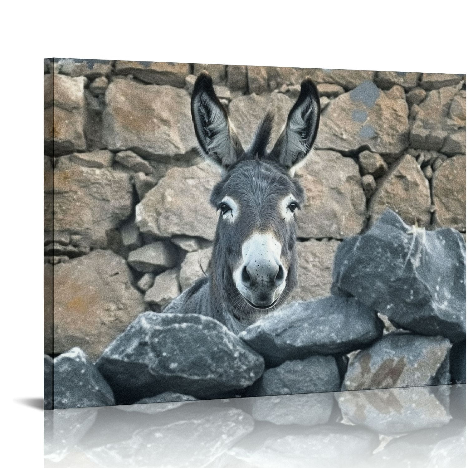 Orinice Donkey Paintings Canvas Wall Art Farmhouse Animal Pictures For ...