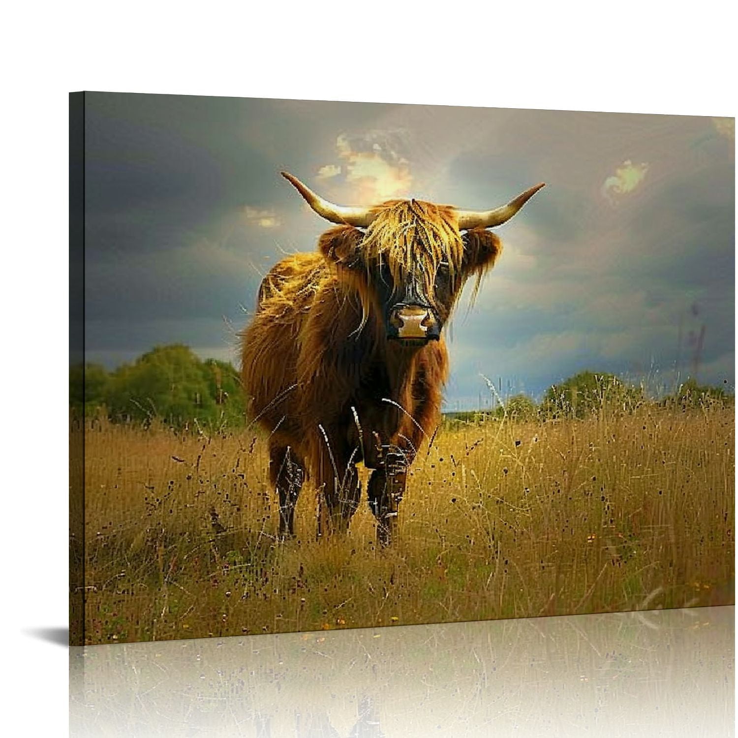 Orinice FARM LIVESTOCK ANIMAL HIGHLAND COW CALF SCOTLAND Poster Canvas ...