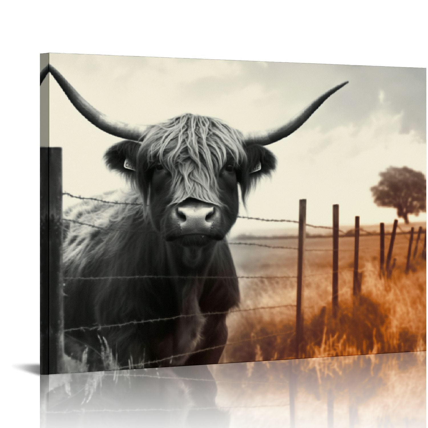 Orinice Highland Cow Canvas Black and White Landscape Pasture Hairy Cow ...