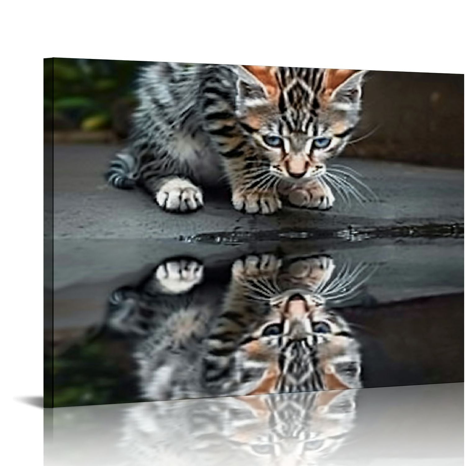 Orinice Inspirational Wall Art Cat Mindset is Everything Positive ...