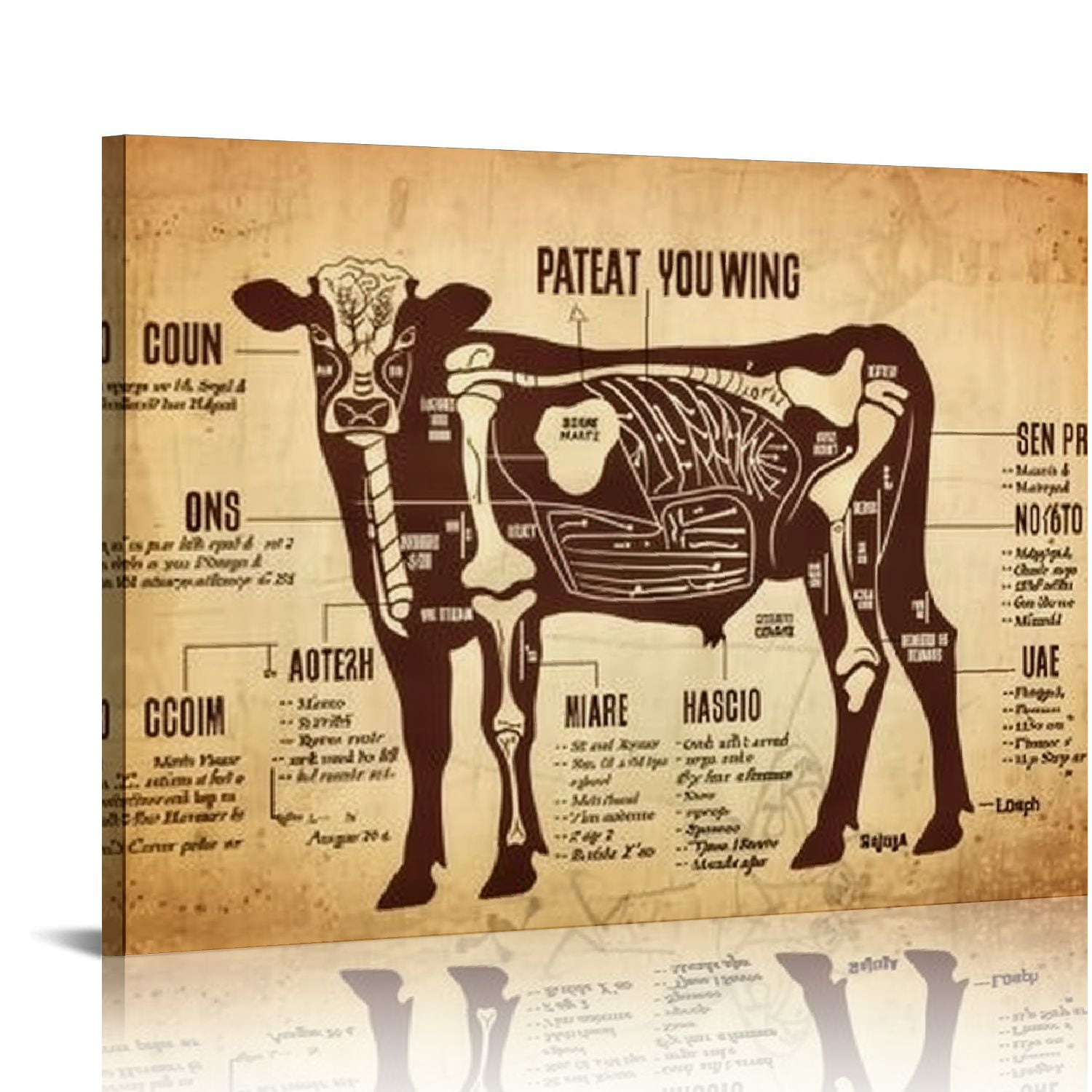 Orinice Kitchen Restaurant Cow Butcher Diagram Beef Cut Diagram Meat ...