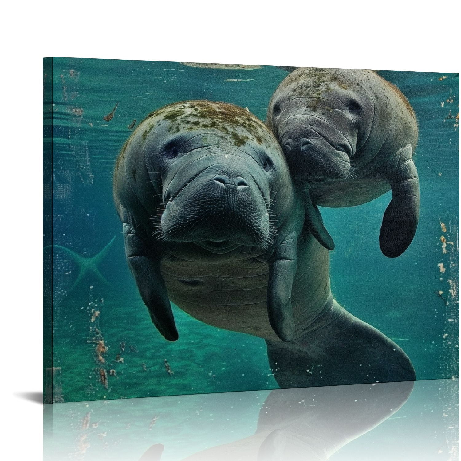 Orinice Manatees Baby Manatee Aquatic Fine Art Aesthetic Poster Print ...