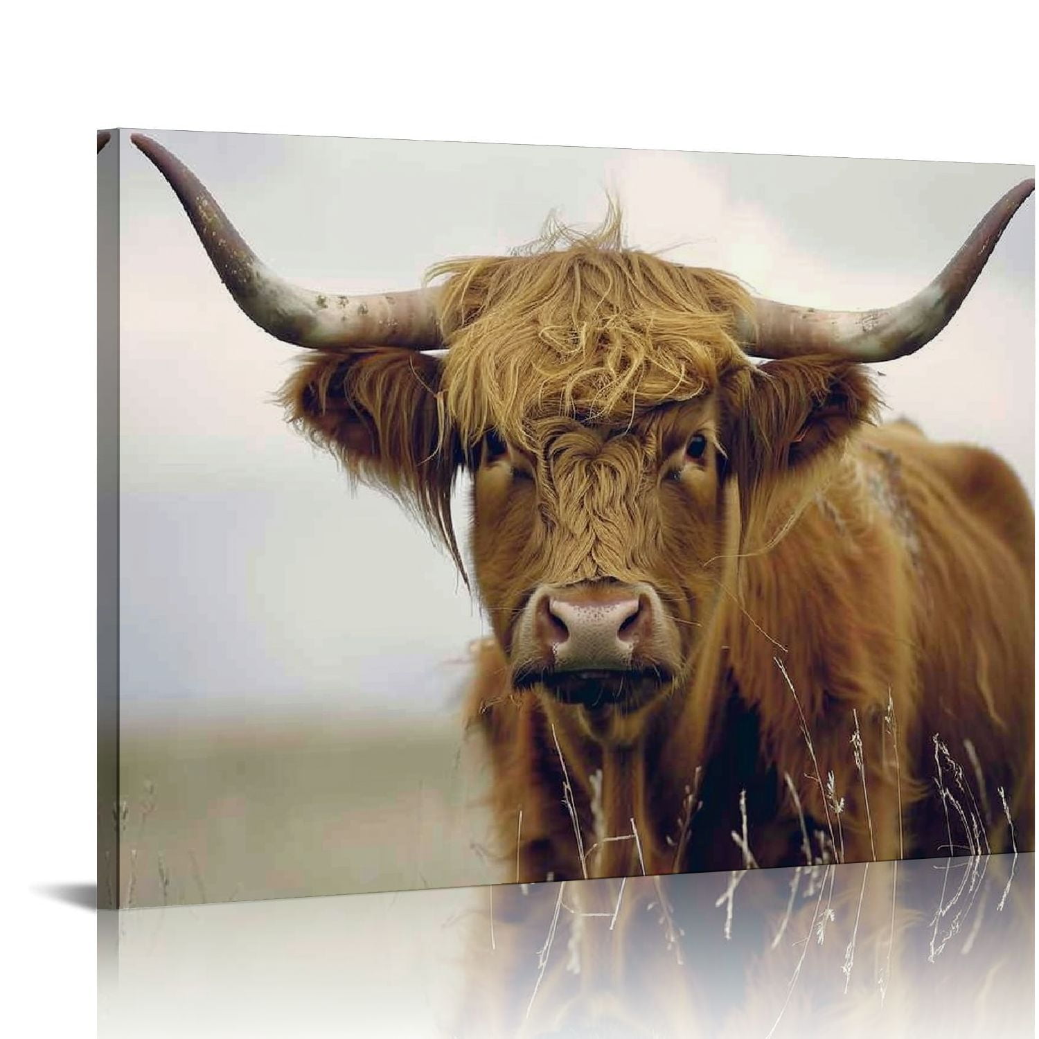 Orinice Nature Highland Cow Scotland Farm Unframed Wall Art Print ...