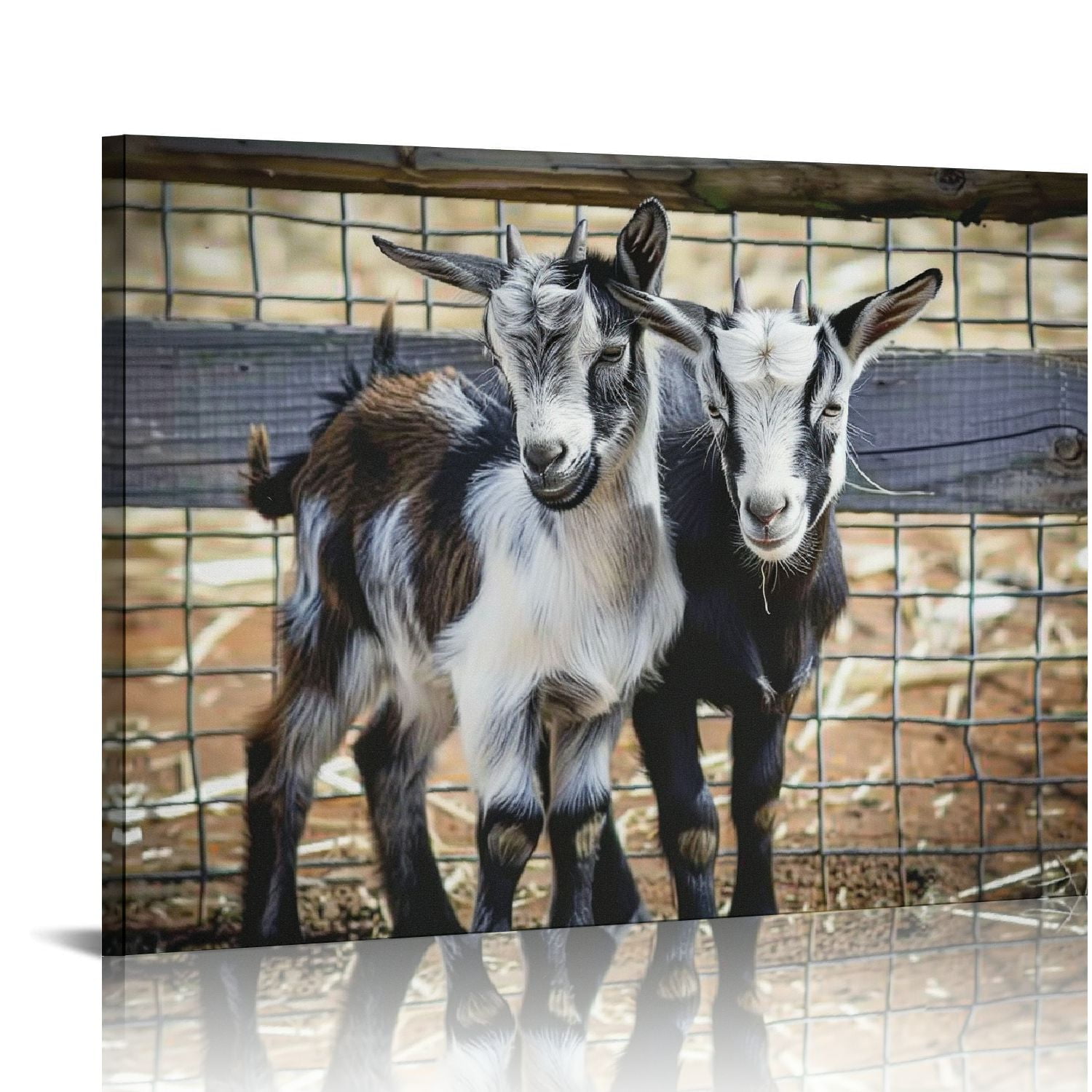 Orinice Nigerian Goat Kids Farm Animals Canvas Bedroom Decor Sports ...