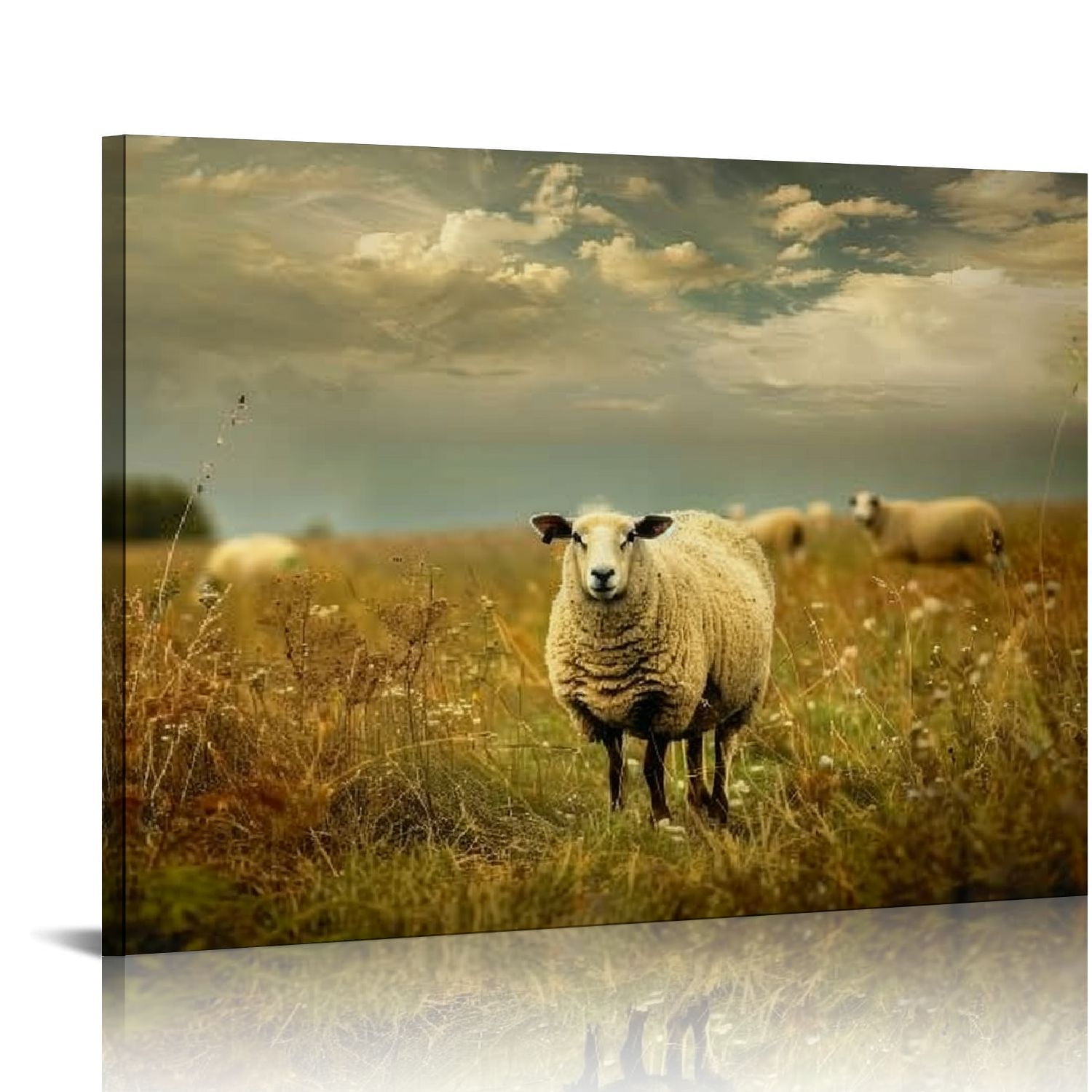 Orinice Sally Sheep by Chris Lord Photo Photograph Sheep Farm Animals ...
