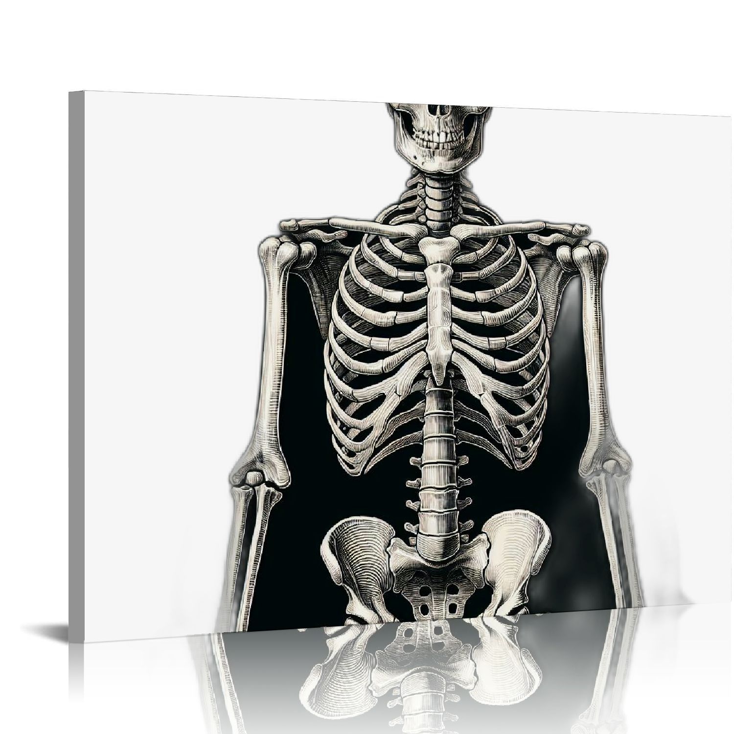 Orinice Skeleton Fine Art Aesthetic Poster & Print Wall Painting for ...
