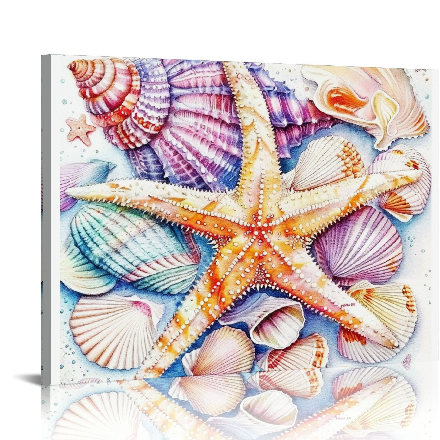 Orinice Starfish Seashells Fine Art Aesthetic Poster & Print Wall ...