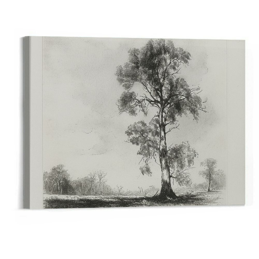 Orinice Trees Nature Etching Rustic Picture - Vintage Farmhouse Engrave ...