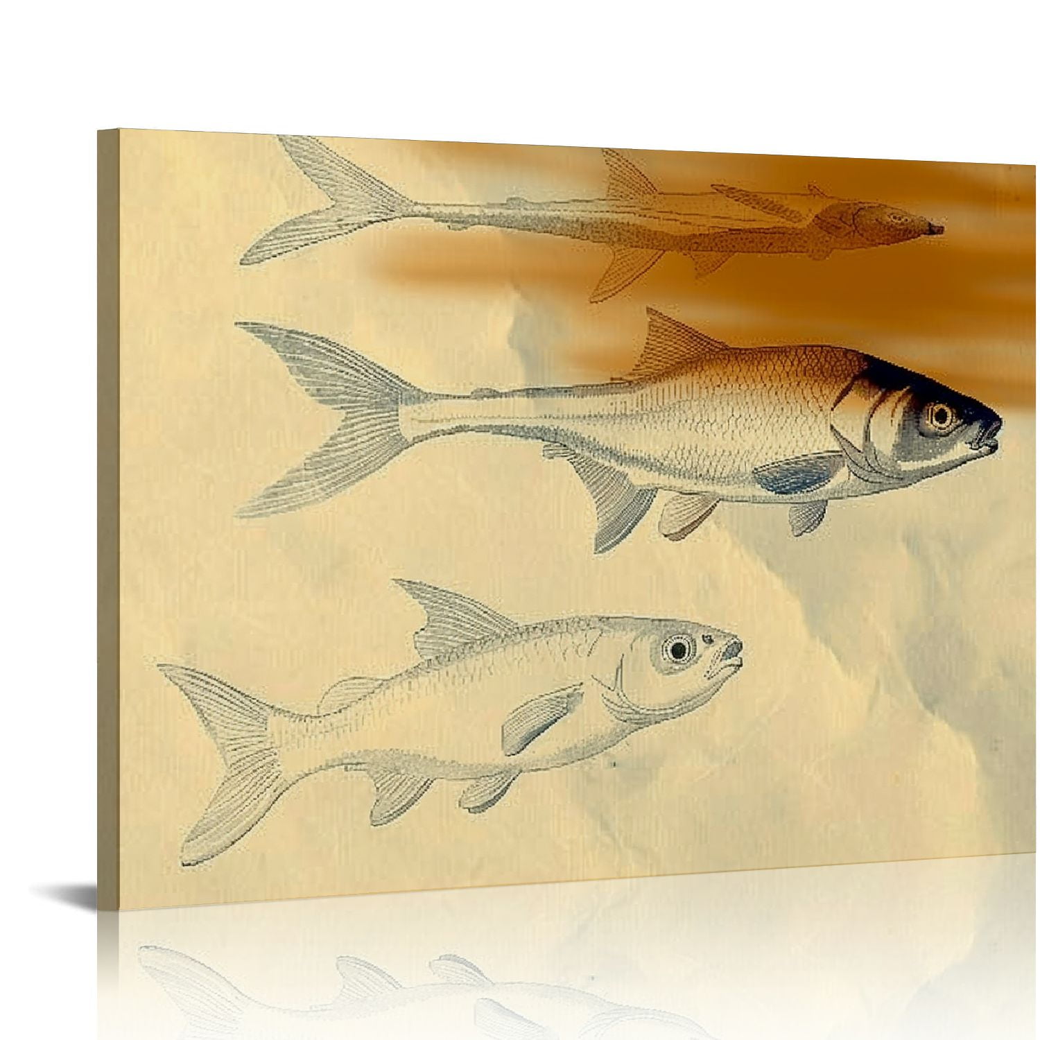 Orinice Vintage Fish Sketch Poster - Retro Fish Print - Aquatic Art ...