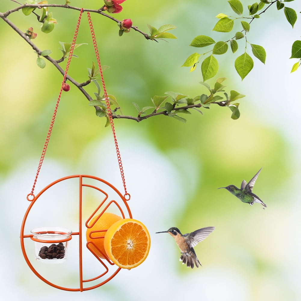 Oriole Bird Feeder Small Orange,2 in 1 Steel Bird Feeder with Landing ...