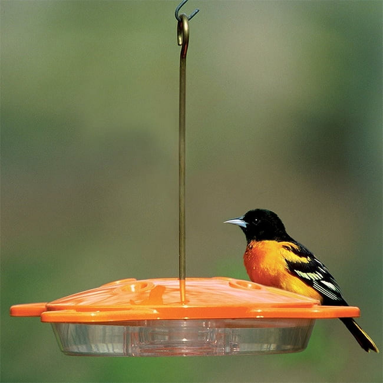 Oriole Feeder - Holds 16 oz of Nectar - Walmart.com
