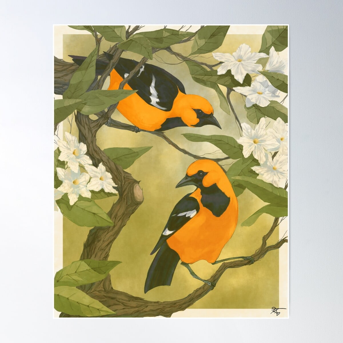 Orioles In A Flower Tree Watercolor Colorway Two Poster Wall Art ...