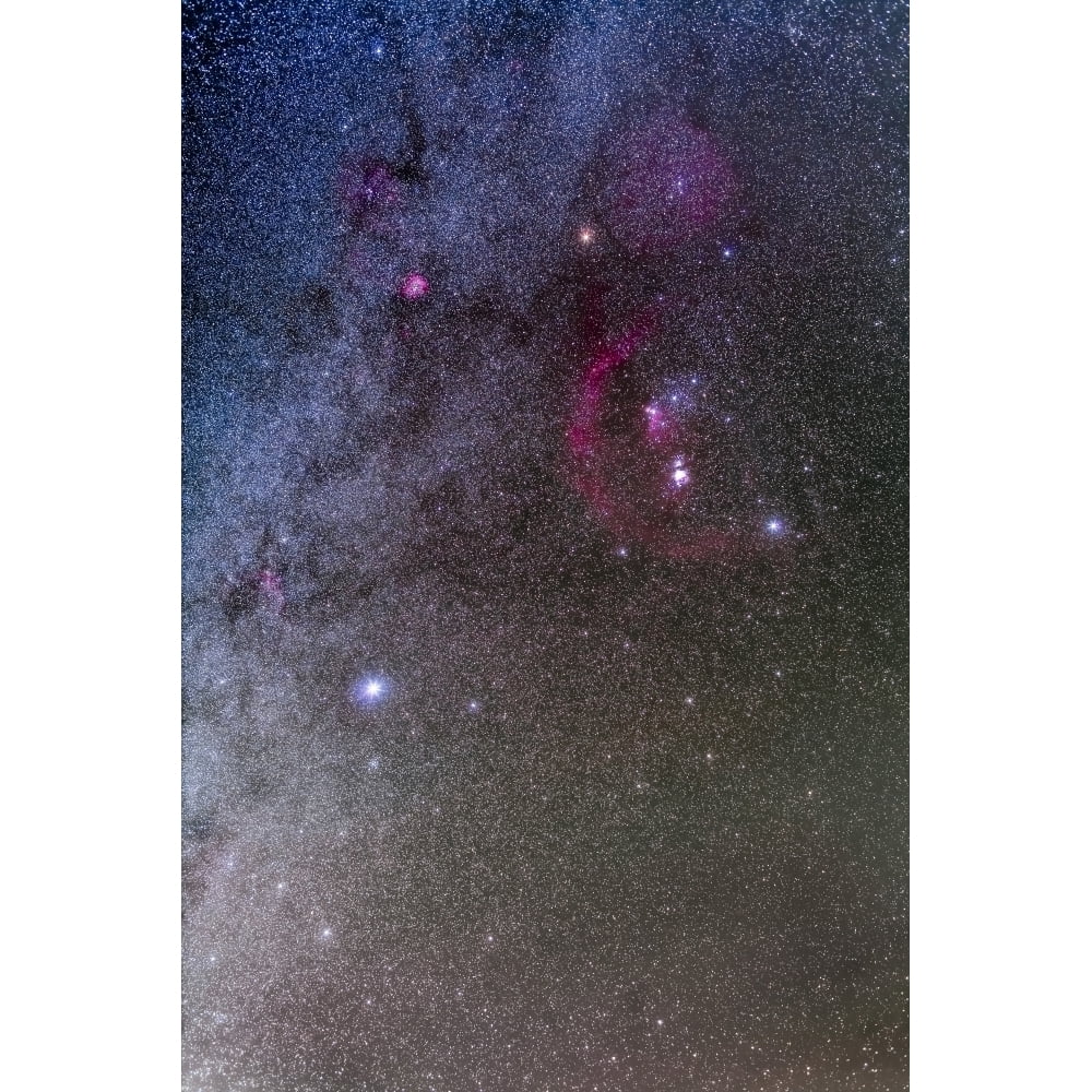 Orion and Canis Major with the dog star Sirius at lower left Poster ...