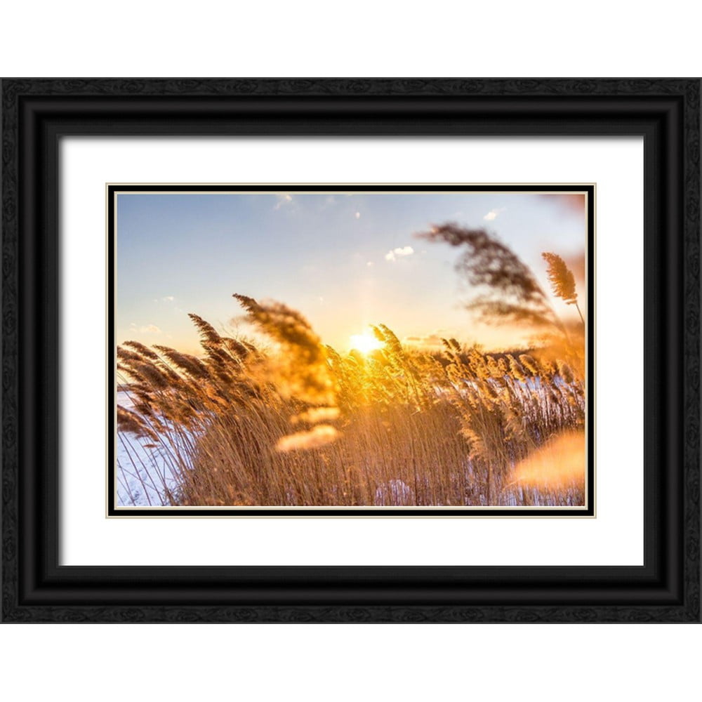 Orlando 24x17 Black Ornate Wood Framed with Double Matting Museum Art ...