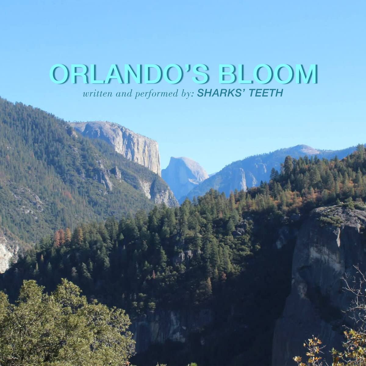 Sharks' Teeth Orlando's Bloom (Cassette Tape) - Walmart.com