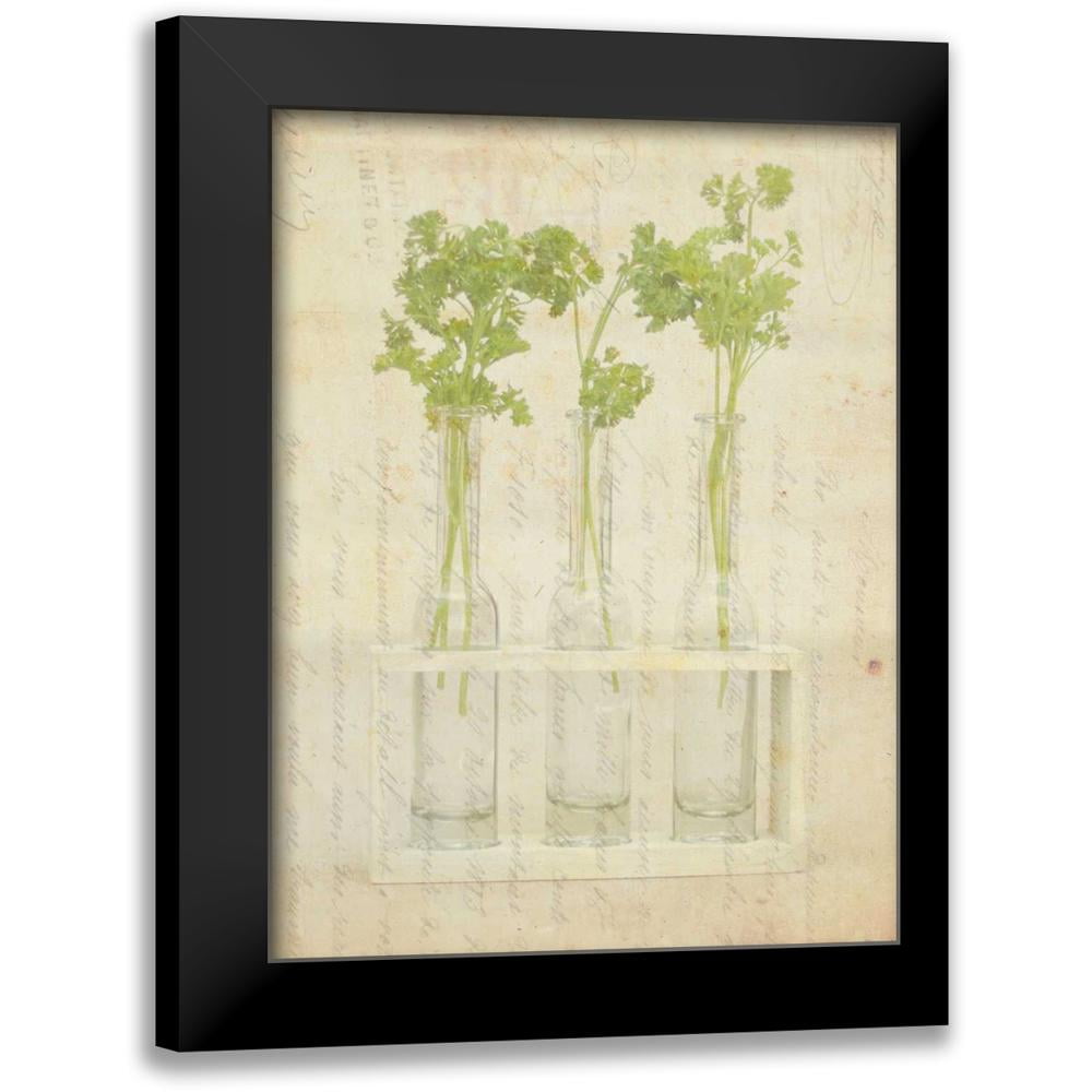 Orlov, Irena 12x14 Black Modern Framed Museum Art Print Titled - Herb Still Life I - Walmart.com