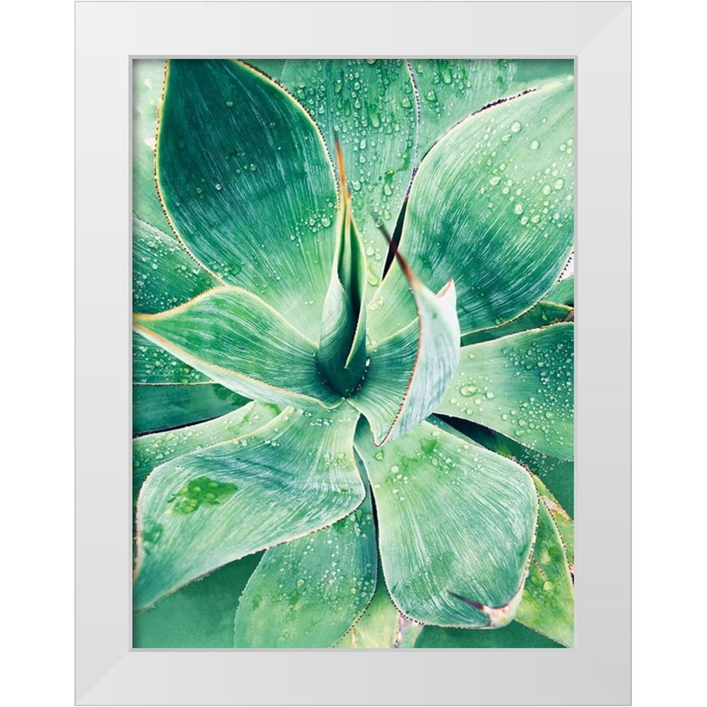 Orlov, Irena 12x14 White Modern Wood Framed Museum Art Print Titled - Green Tropical Succulent I ...