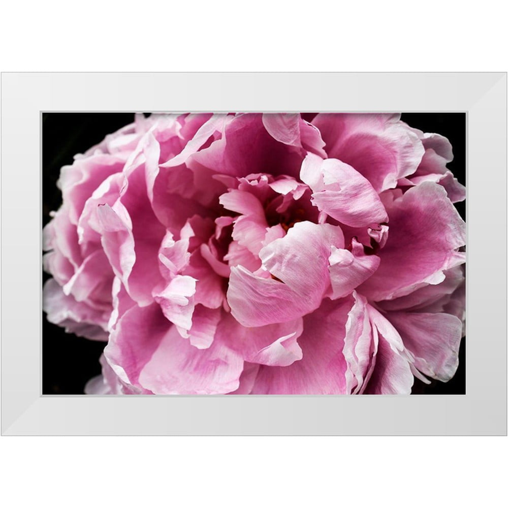 Orlov, Irena 14x11 White Modern Wood Framed Museum Art Print Titled ...